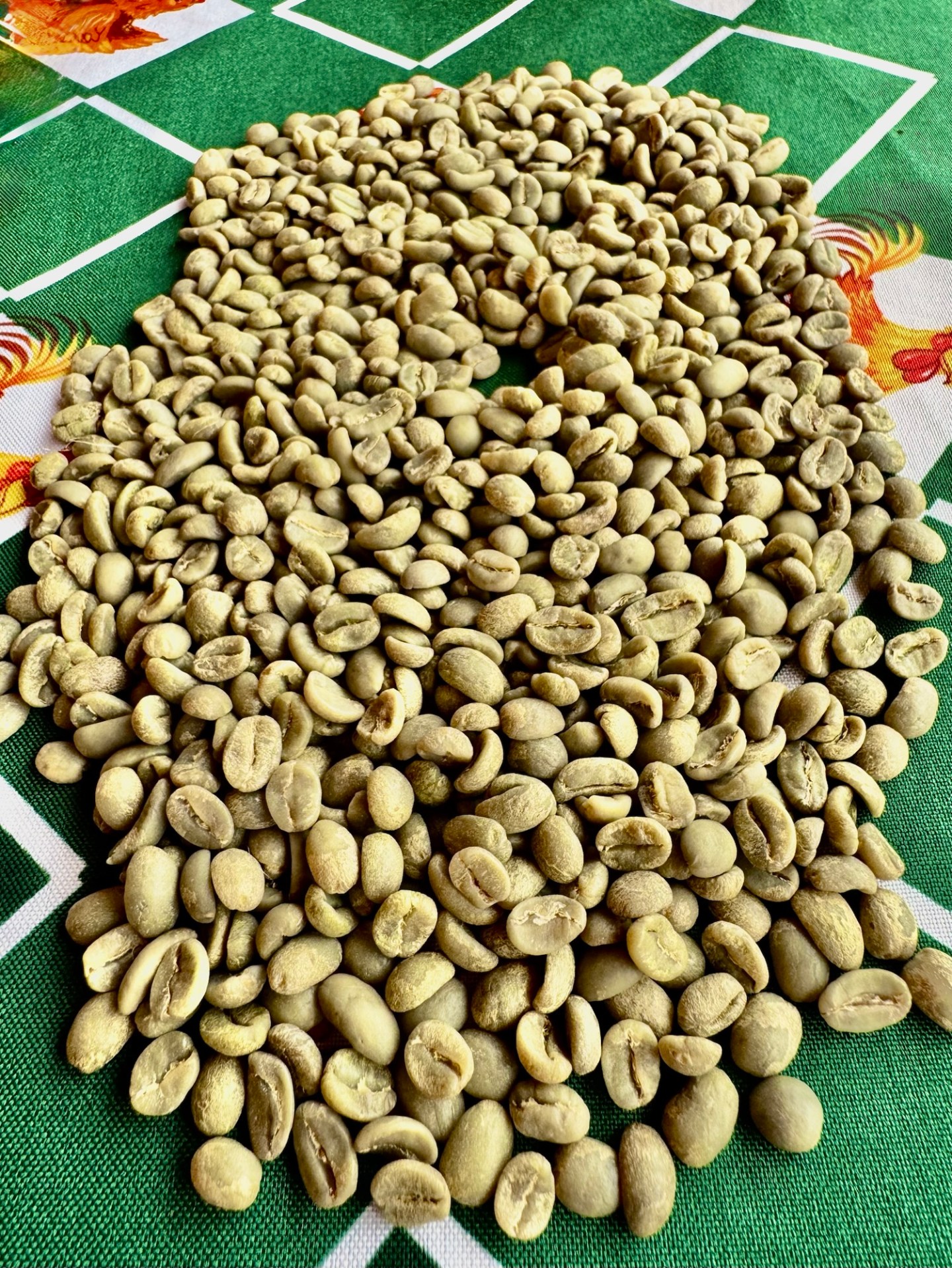 The slow life – Scribbles and Snapshots